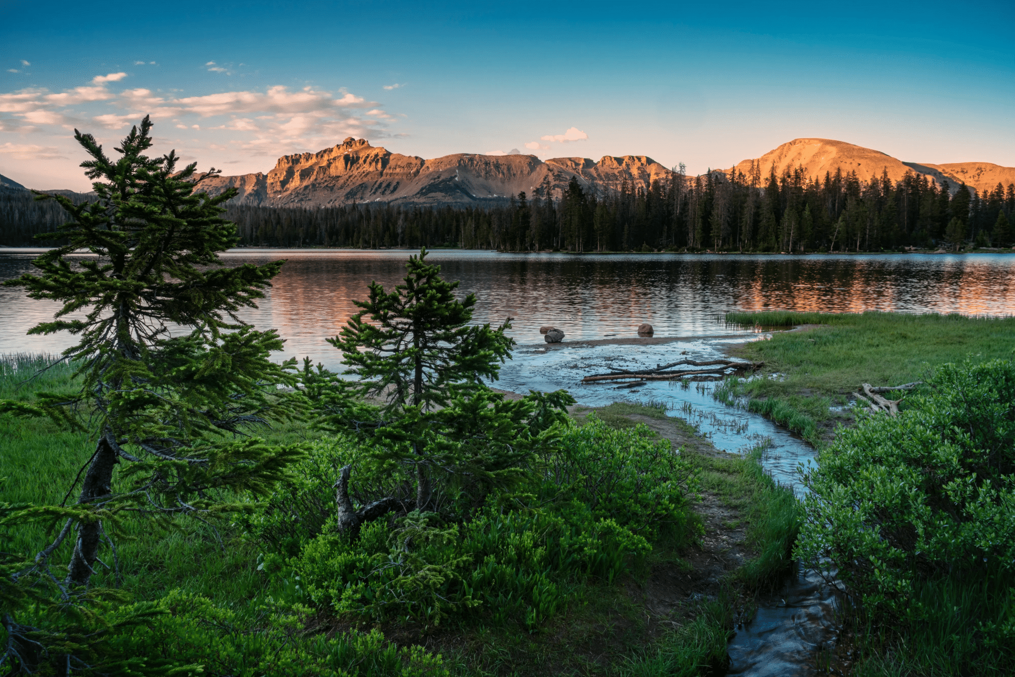 The Crater - Homestead