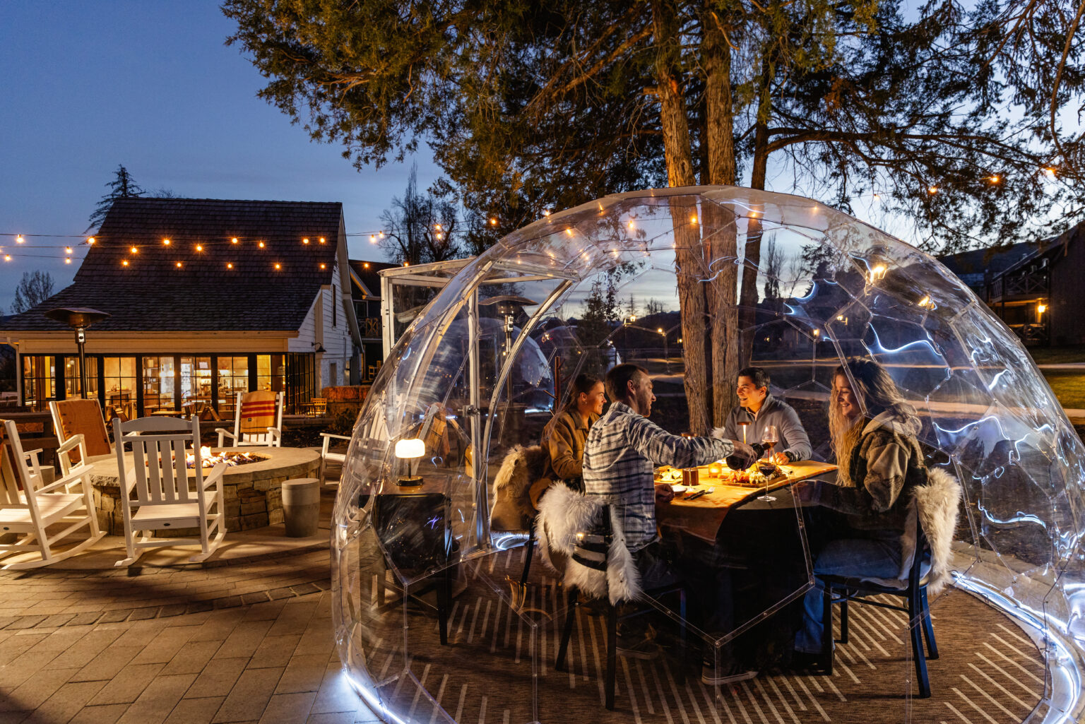 Dining Globes - Homestead